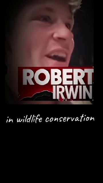 Robert Irwin Aboriginal comment