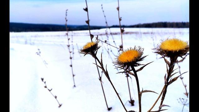 А  Дементьев  Прощаю всех, кого простить нельзя #стихиопрощении #поэты20века