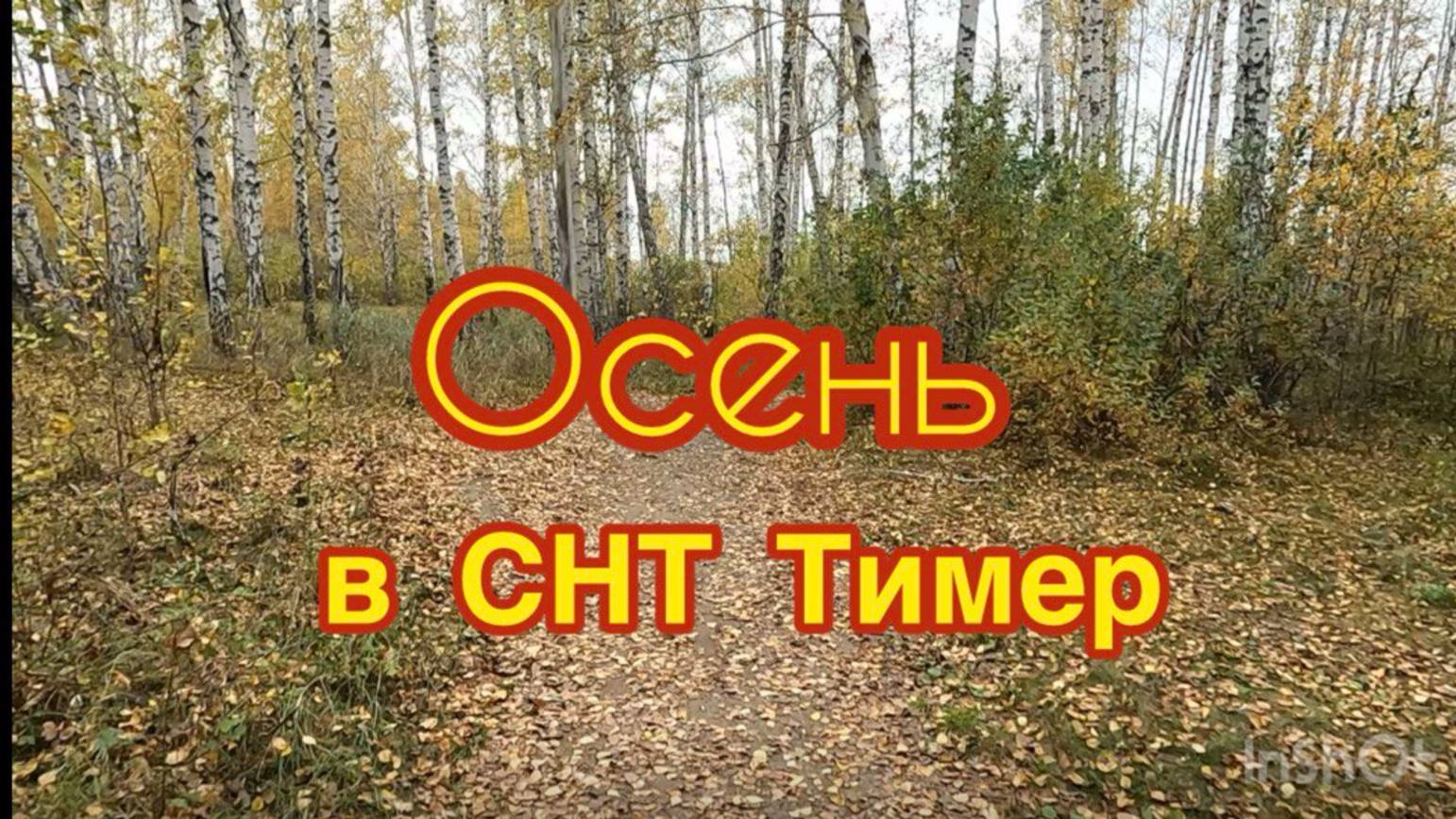 Осень в СНТ Тимер