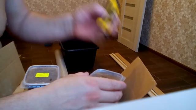 2000 коконов дошли в Старый Оскол благополучно!
