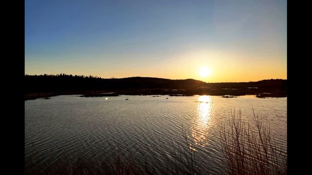 А  Ахматова  Сердце к сердцу не приковано #стихиолюбви #поэтысеребряноговека