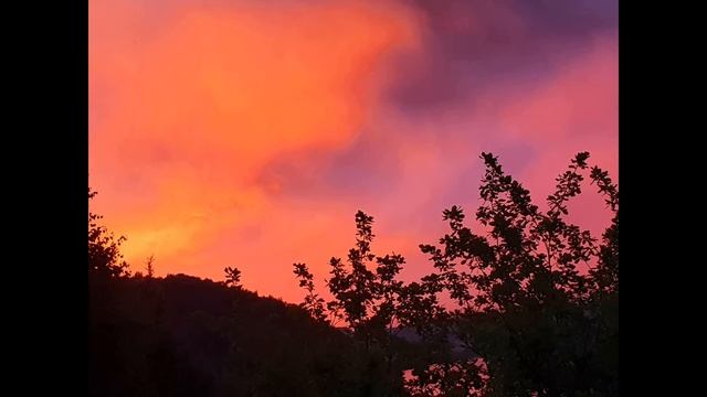 Р Рождественский.  Поэма "Реквием".  Фрагмент 1 из 2 #стихиовойне #поэты20века