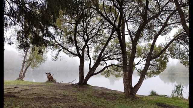 А  Твардовский 1  От автора  Поэма Василий Тёркин  #стихиовойне #поэты20века