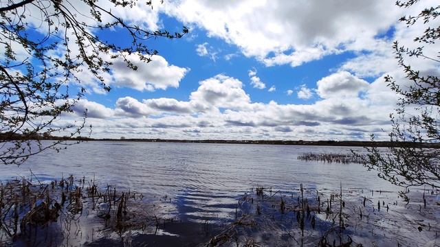 Е  Евтушенко  Я хотел бы #философскаялирика #поэты20века