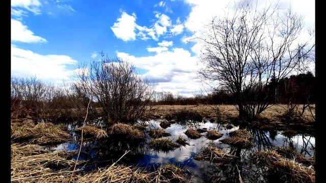А  Ахматова  И как всегда бывает в дни разрыва #стихиолюбви #поэтысеребряноговека