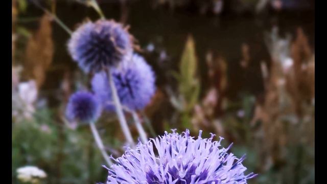 Р Рождественский  Давнее #стихиовойне  #поэты20века