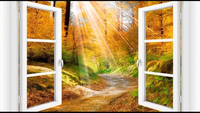 И  Бунин  Последний шмель #стихиобосени #поэтысеребряноговека