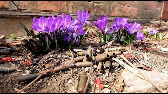 О  Берггольц  Что может враг?.. #стихиовойне #поэты20века