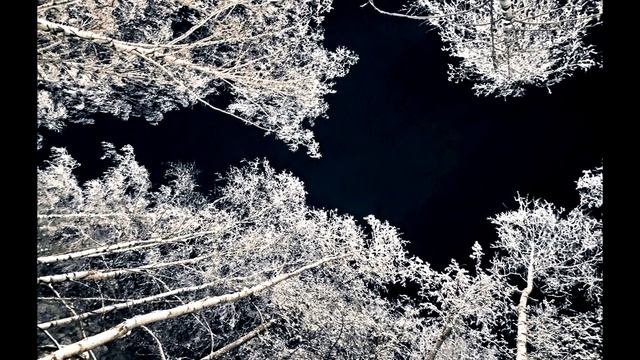 М  Цветаева  В раю #стихиолюбви #поэтысеребряноговека