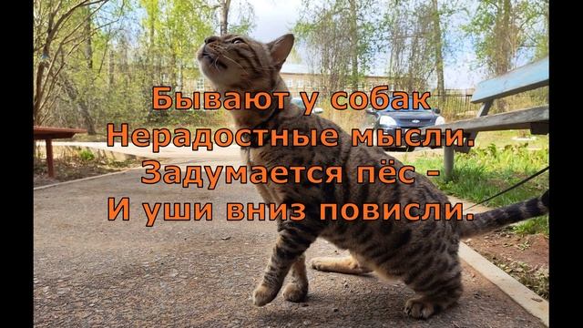 А  Барто  Думают ли звери   #поэты20века #стихидетям  #стихиоживотных