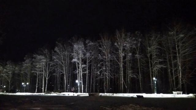 М Лермонтов  Дума #гражданскаялирика #поэты19века