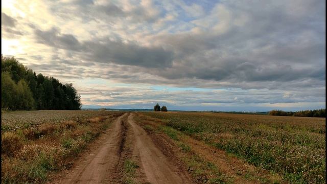 Н  Некрасов  Школьник #стихиодетях #поэты19века