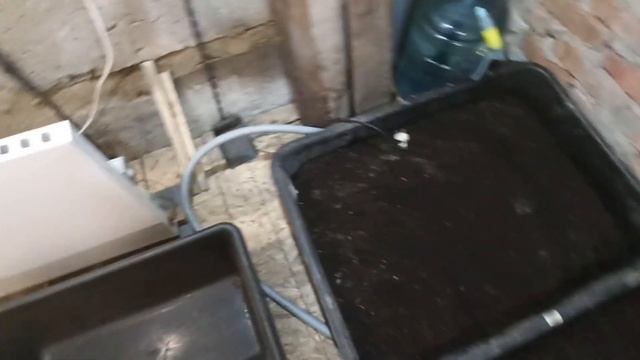 Отчёт Ильи из г Морозовск. Итоги спустя год.