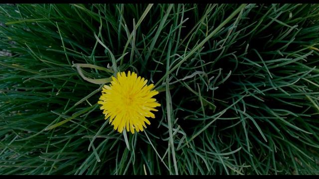 А  Куприн  Гранатовый браслет  Часть 8  Фрагмент 2 из 2 #проза #олюбви