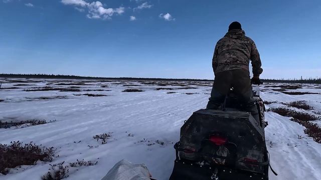 Охота на ГУСЯ. off-road .Добираемся до дома на снегоходах через болота, ручьи и реки.