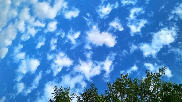 В Боков  Встречаемся у Вечного огня #поэты20века #стихиопамяти #стихиовойне