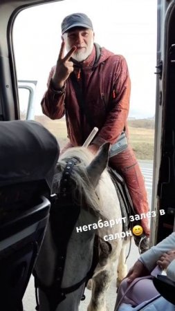 Джигит залез в салон  #грузоперевозки #кавказ #минводы #джигит #пкфагро #тренинг