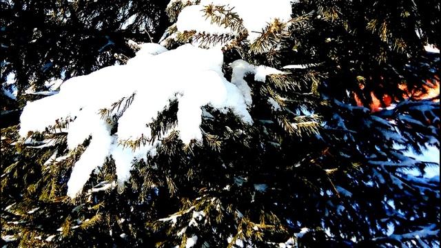 Л  Н  Толстой  После бала (отрывок)  #писатели19века