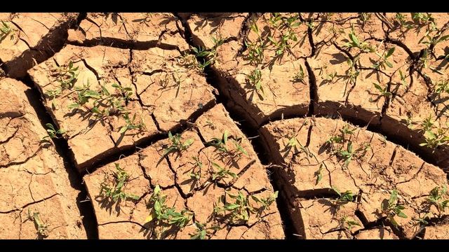 И  Бунин  И шли века, и стены Рая пали  #духовнаялирика #поэтысеребряноговека