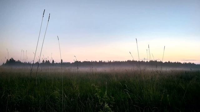 О Мандельштам  Скудный луч холодной мерою #философскаялирика #поэтыCеребряноговека