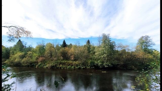 В  Брюсов  Ты   женщина, ты   книга между книг #стихиоженщине #поэтысеребряноговека