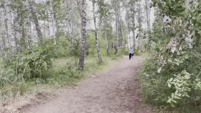 Лес у Озера Курги