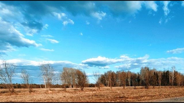 И  Бродский  Дни бегут надо мной #философскаялирика #поэты20века