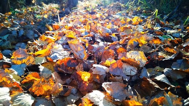 Б Ахмадулина  Первый день осени #стихиобосени #философскаялирика  #поэты20века