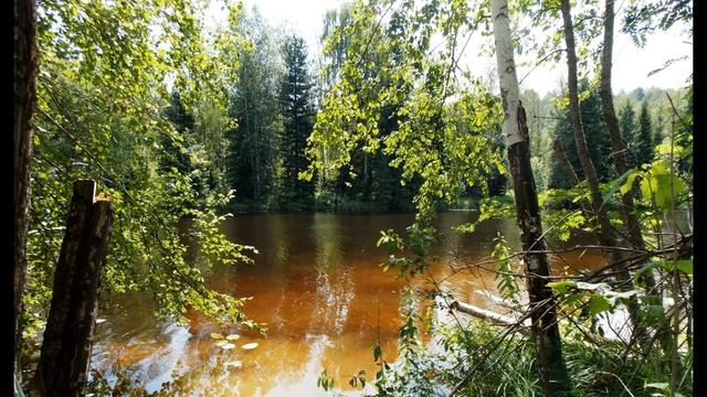 Г Иванов  На один восхитительный миг #стихиолюбви #поэтысеребряноговека