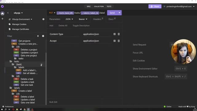 Тестирование API с использованием Insomnia