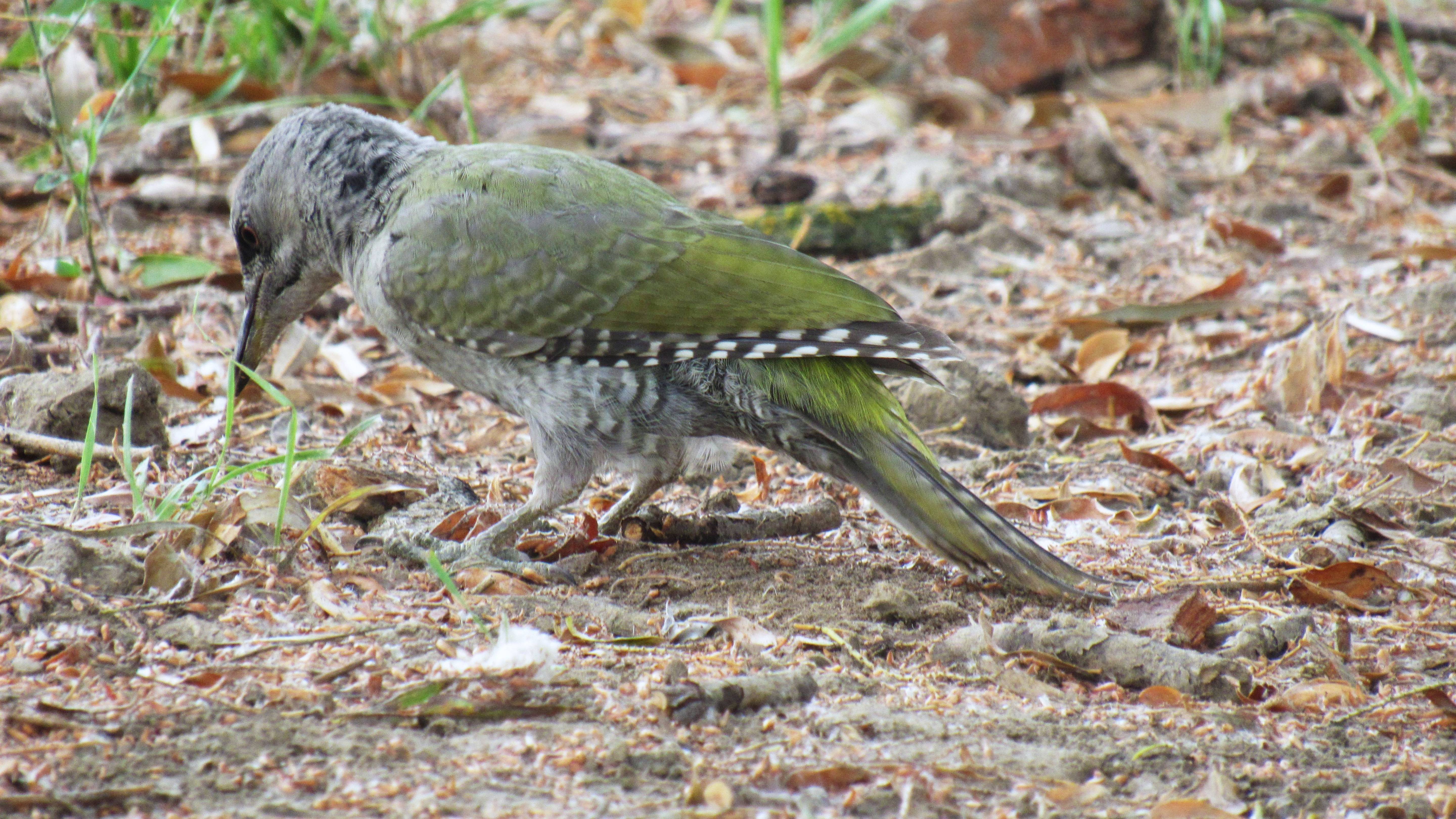 Счастливая встреча
