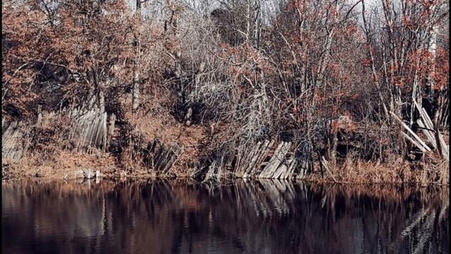 Н Панченко  Попытка романса #философскаялирика #поэзия20века