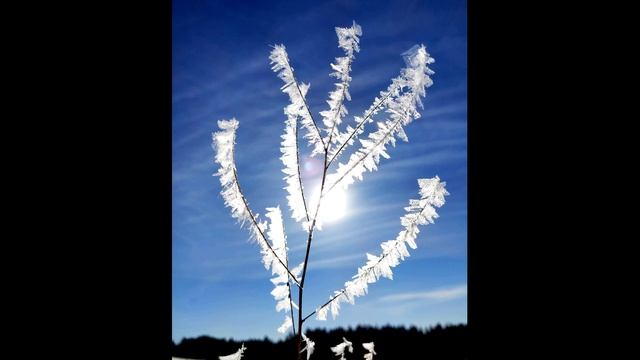 М  Цветаева  Последнее слово #стихиоженщине #поэтысеребряноговека