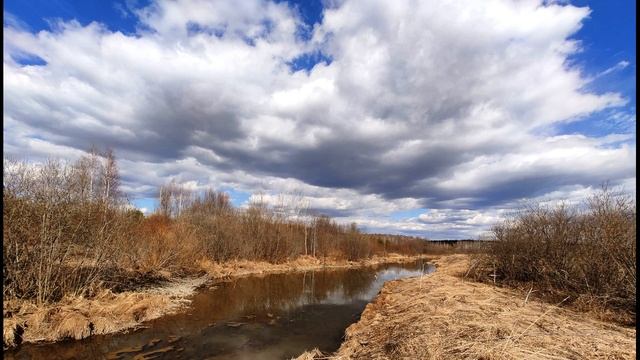 О  Мандельштам  Образ твой, мучительный и зыбкий #философскаялирика #поэтысеребряноговека