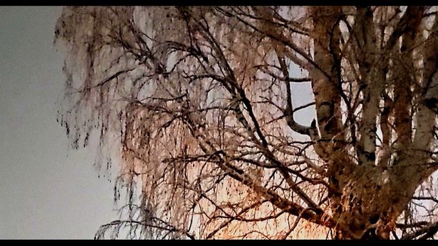 С  Есенин  Бабушкины сказки #стихиодетях #стихиозиме  #поэтысеребряноговека