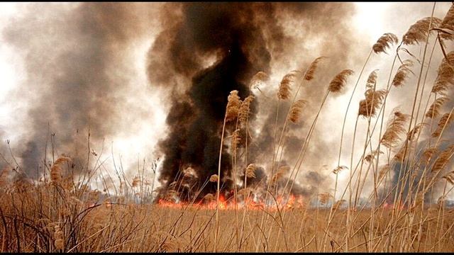 Б  Окуджава  До свидания, мальчики  Стихи #стихиовойне #авторскаяпесня #поэты20века