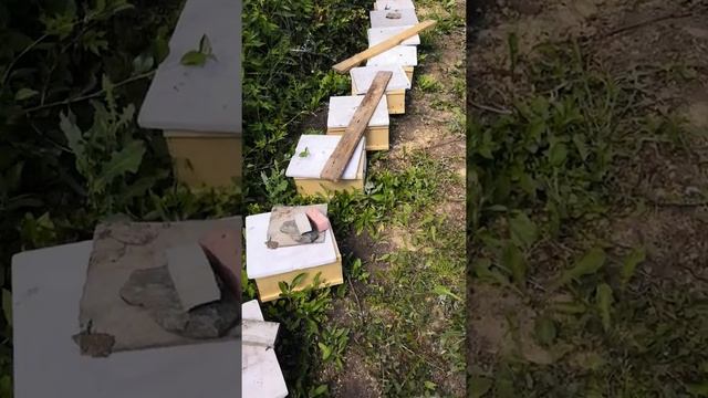 Минипакеты