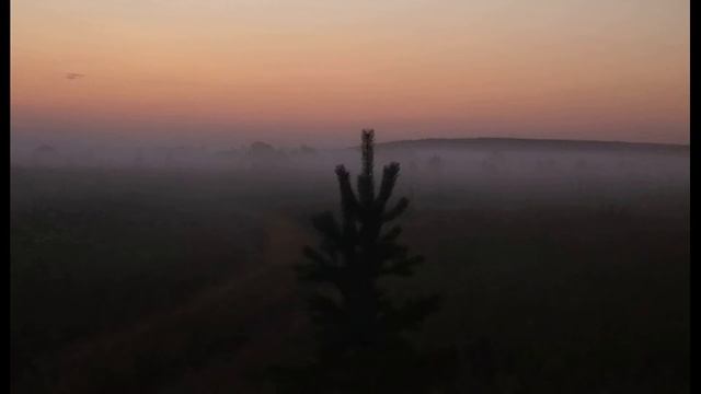 И Бунин  Ночь печальна, как мечты мои #философскаялирика #поэтыCеребряноговека