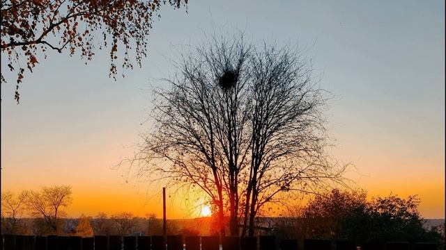 Д  Самойлов  Сороковые #стихиовойне #поэты20века