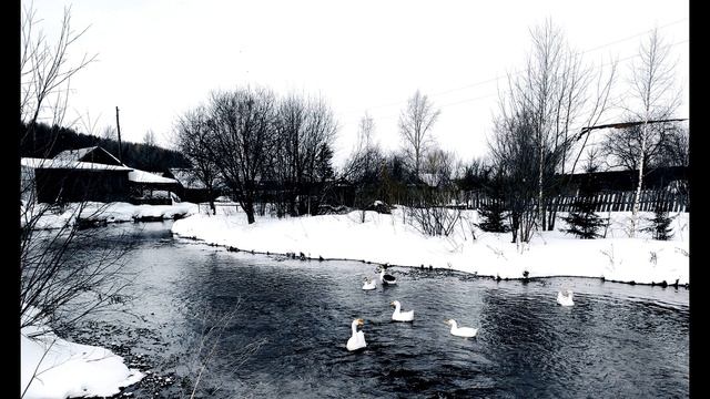 М  Цветаева  Каток растаял #стихиолюбви #поэтысеребряноговека