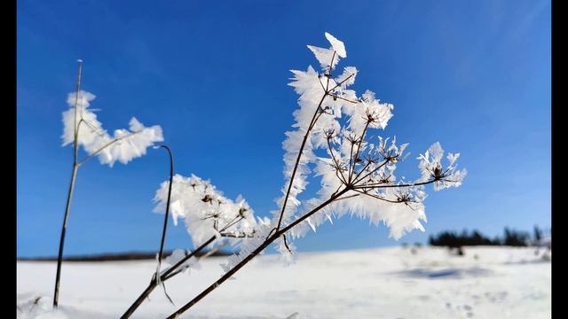 М  Цветаева  Путь креста #стихиолюбви #поэтысеребряноговека