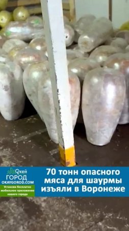 70 тонн опасного мяса для шаурмы изъяли в Воронеже #воронеж #белореченск #шаурма #шаверма #общепит