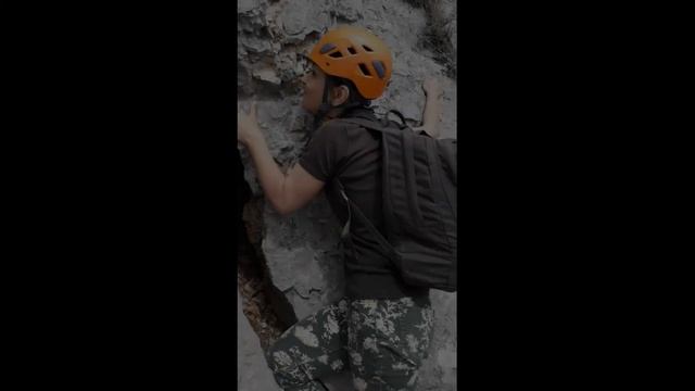 Крокозябля