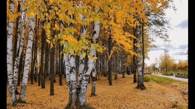 А Вознесенский  Был бы я крестным ходом #философскаялирика   #поэты20века