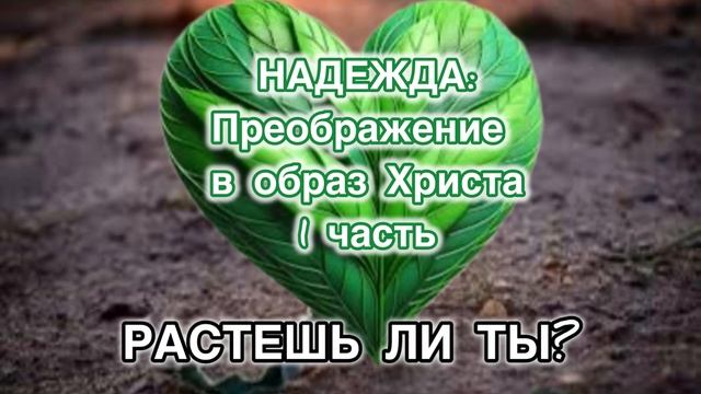 Надежда духовного роста. Преображение в образ Христа