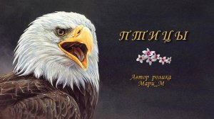 П Т И Ц Ы / (ХУДОЖНИК Alan M. Hunt)