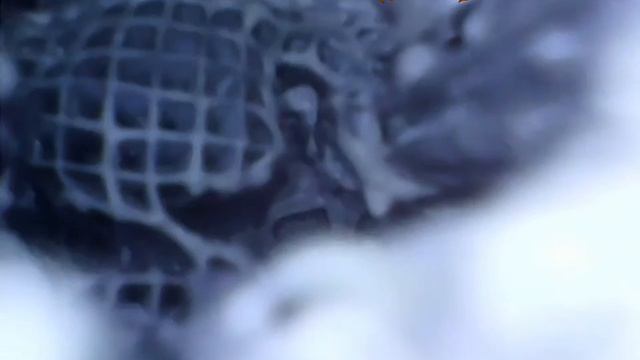 Диагностика катализатора эндоскопом