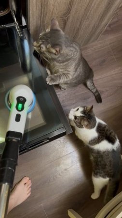 Щетка которой довольны все 😺
Артикул в тг канале WB FAMILY