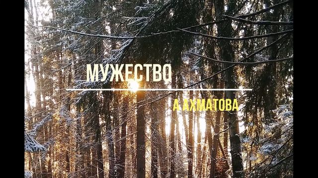 А Ахматова  Мужество #стихиовойне #поэтыСеребряноговека #поэты20века