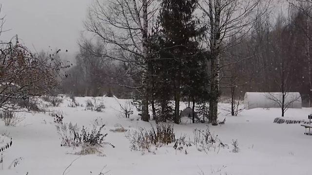 Домнино  Картина маслом